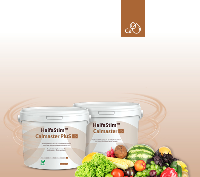 HaifaStim™ Calmaster & Calmaster PluS+ | Haifa Group
